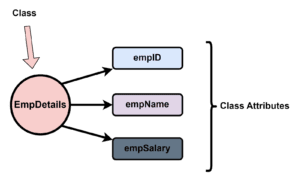 Java Class Attributes | Explained With Examples
